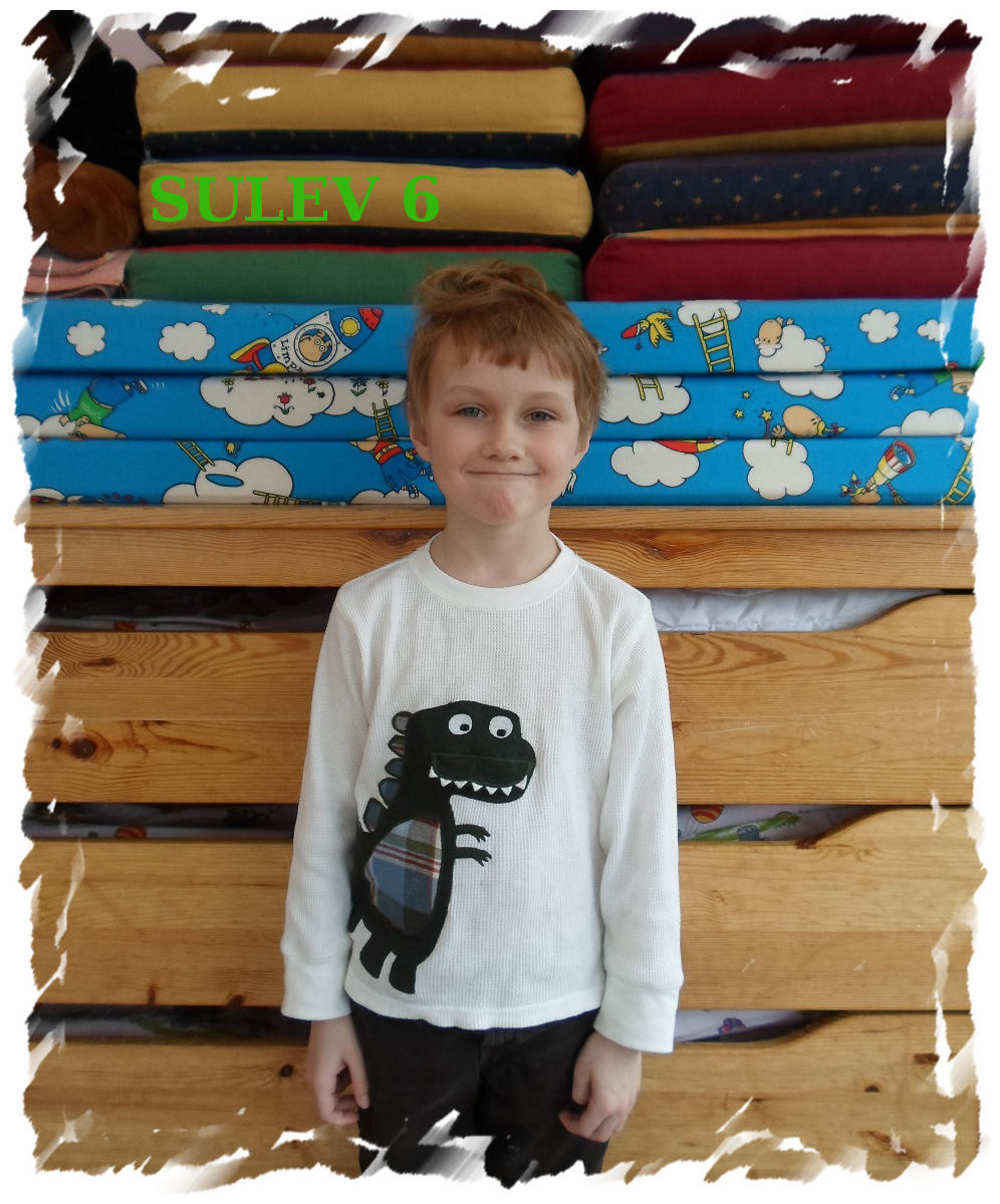 Oravate tegemised: Sulevi sünnipäev