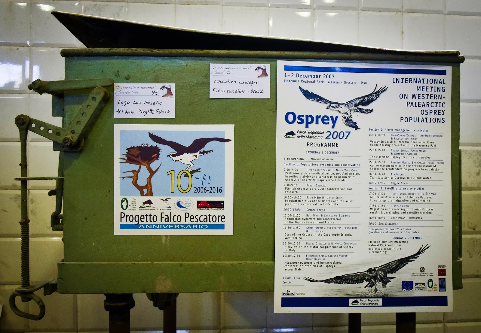 Alessandro Troisi - Osprey's illustrator