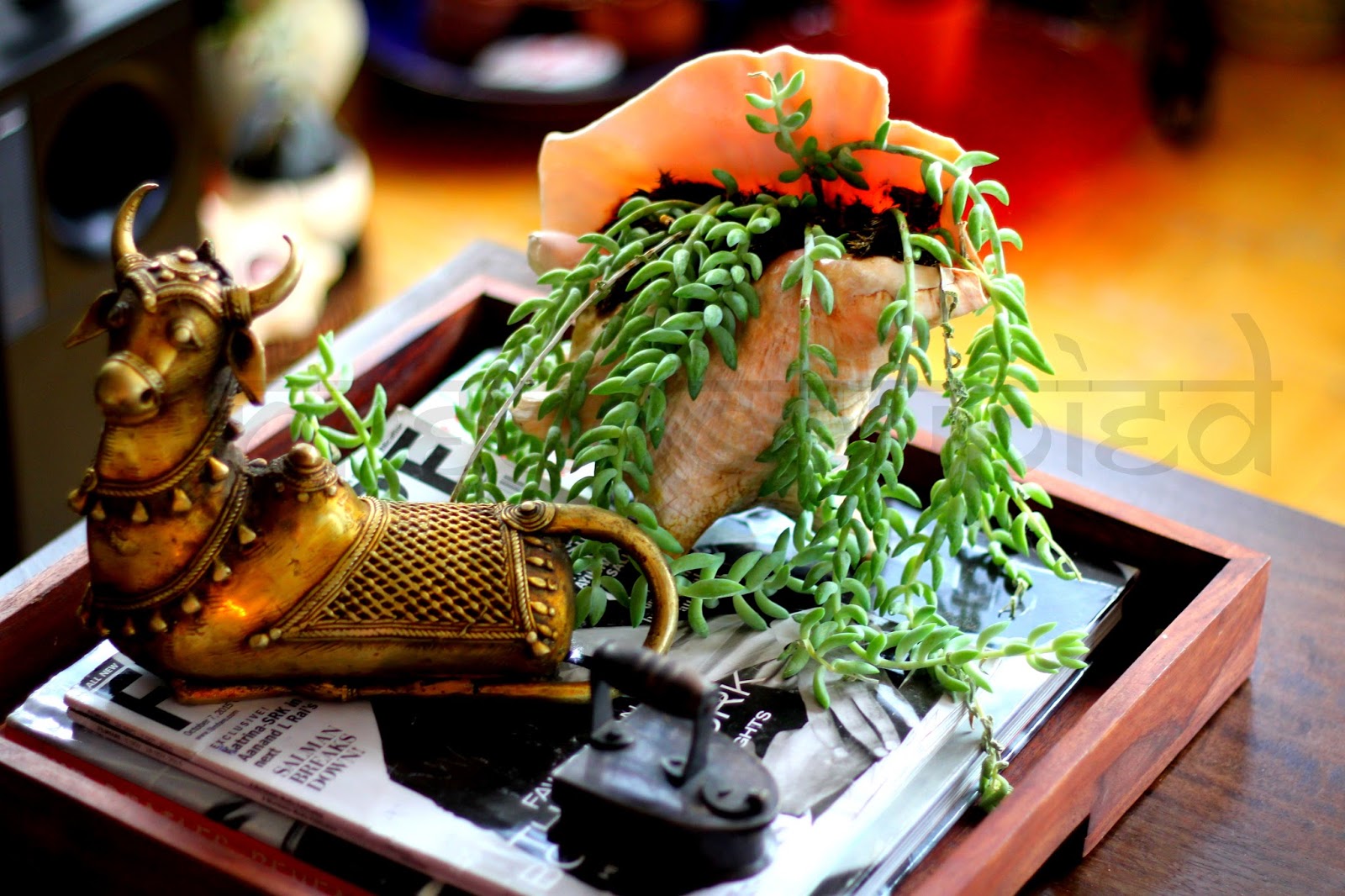 PreeOccupied: Color my Walls "Gerua"