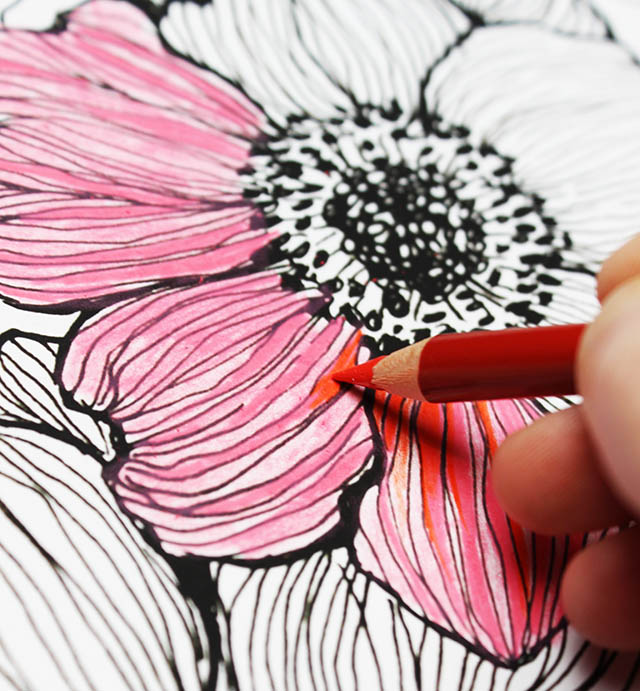 alisaburke: colored pencils: a few tips and tricks