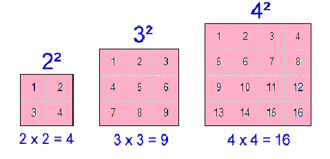 Square and Square Root