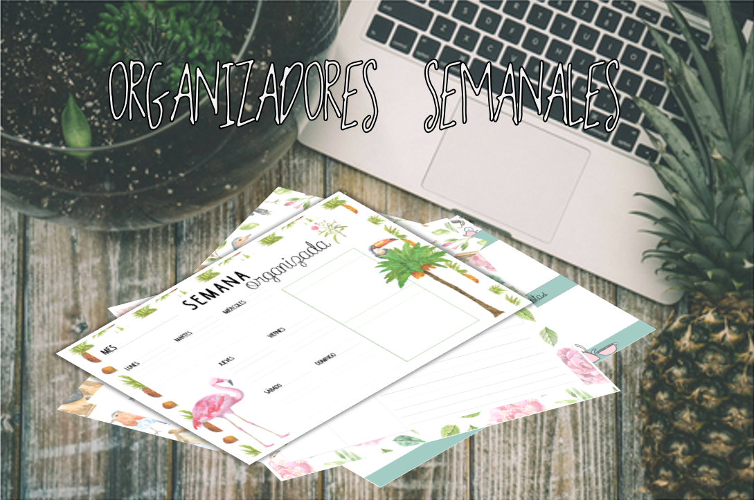 ORGANIZADORES SEMANALES A4
