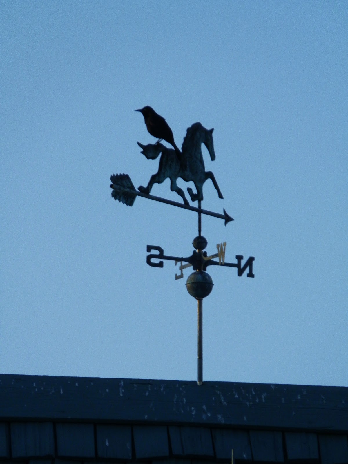 Disney Vacation Kingdom: Weathervanes of Liberty Square