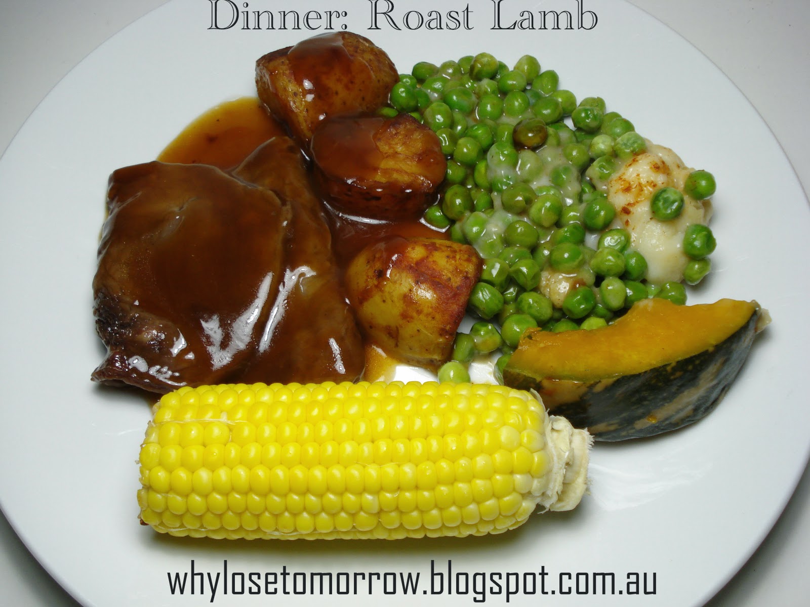 Why Lose Tomorrow?: Lite n' Tasty - Weight Loss Week Nine Day Six ...