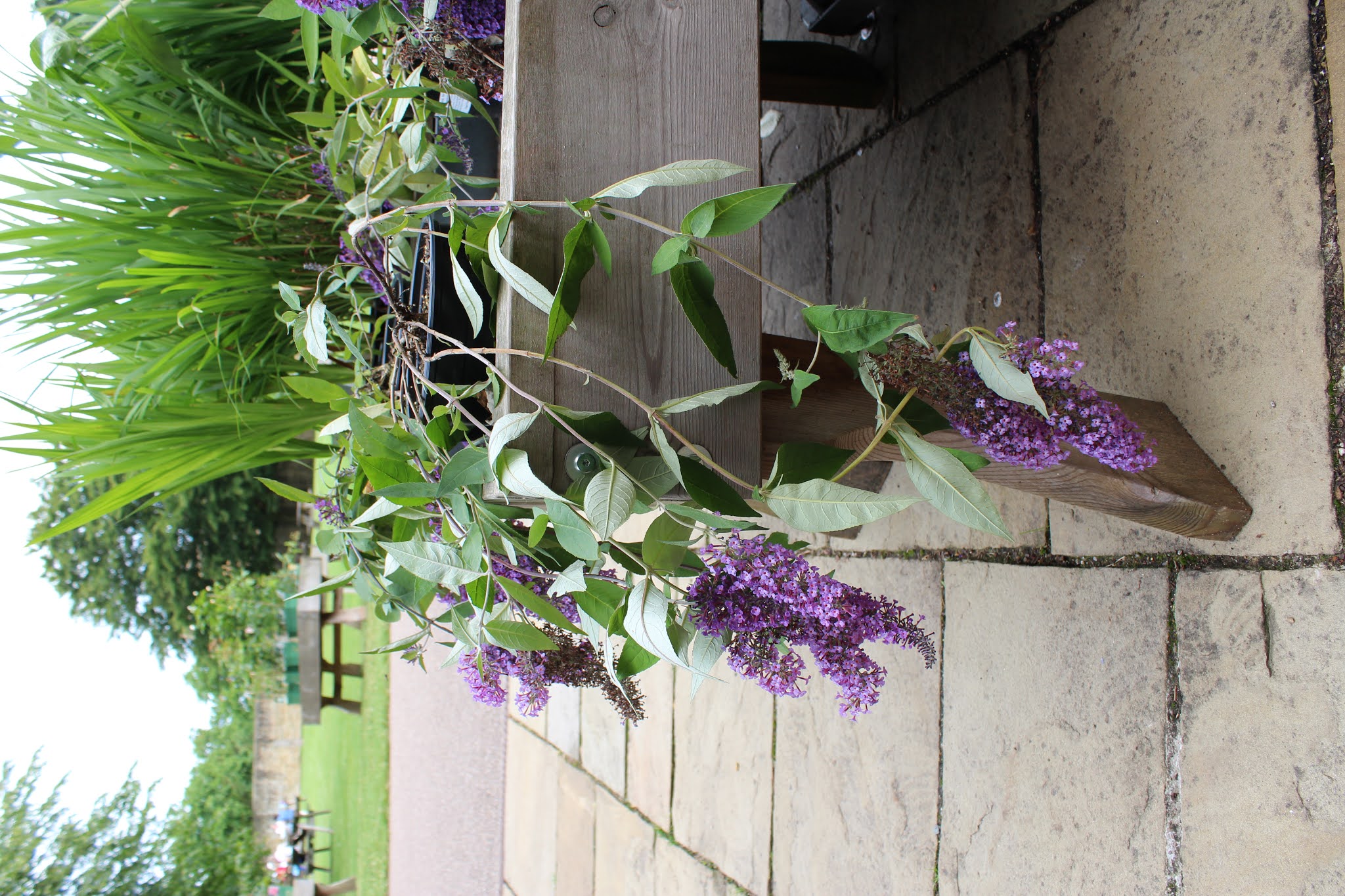 Another National Trust Treasure | Hardwick Hall