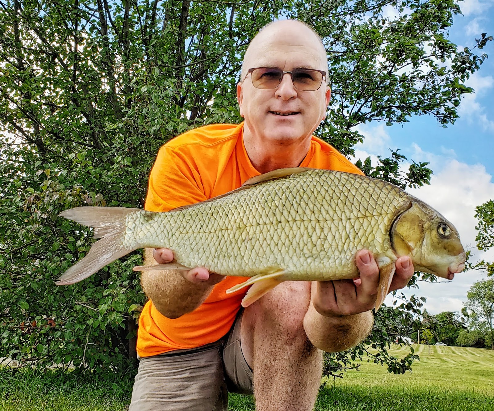 Michigan Carp Fishing Blog: carp fishing