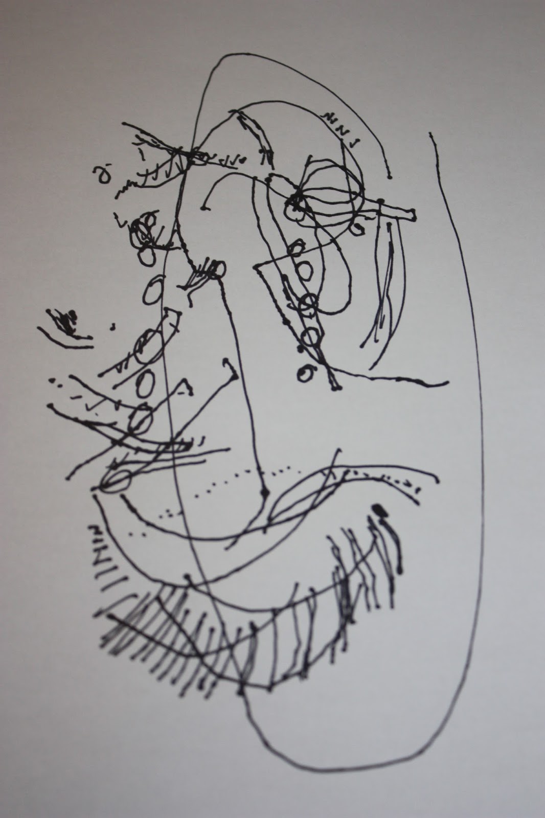 The Kids Art Studio: Contour Drawing - Observational art at its best.