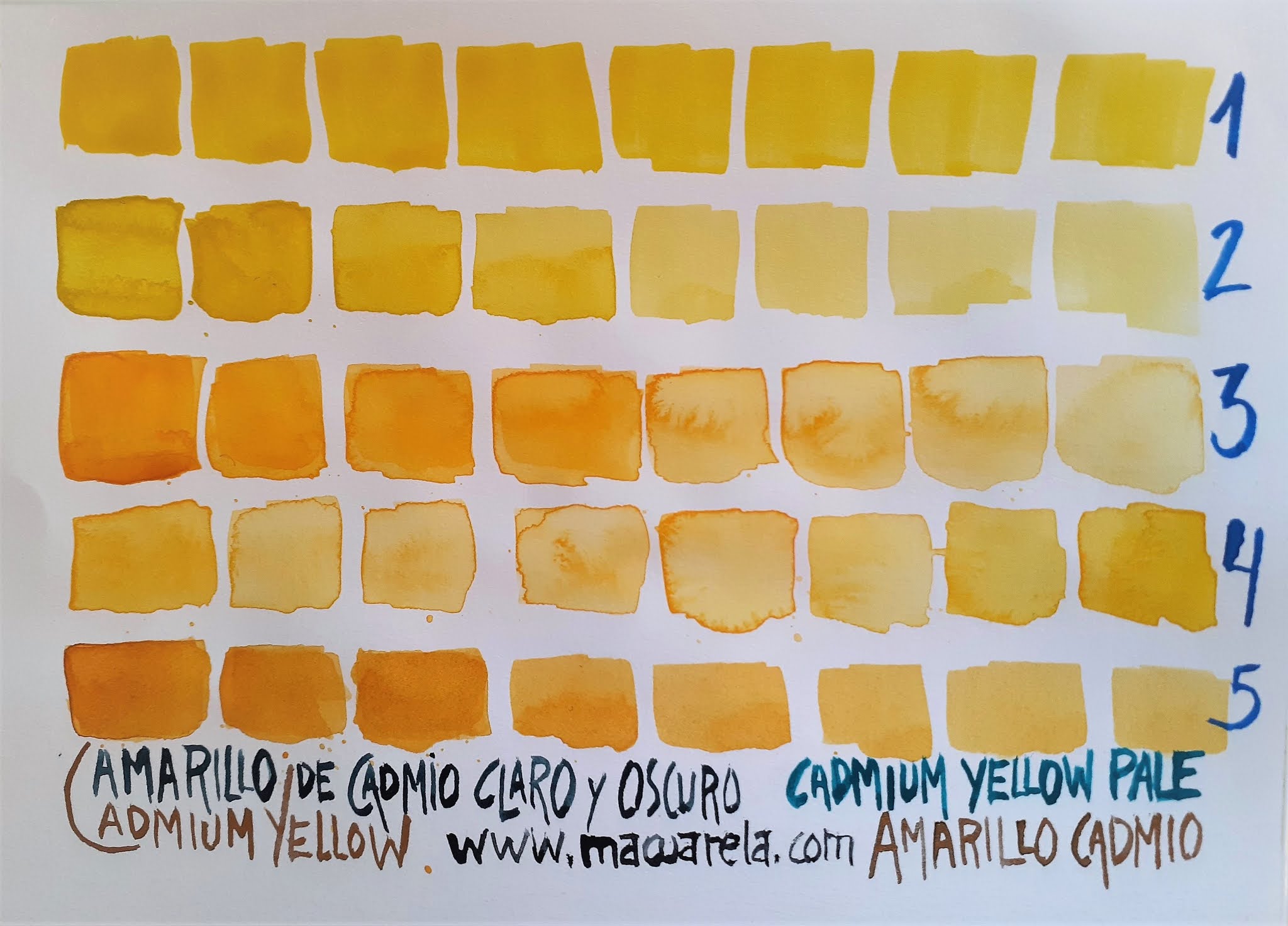 MACUARELA: EL AMARILLO de CADMIO