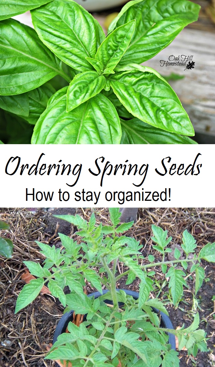 When To Order Seeds For Spring Planting at Donald Pepper blog