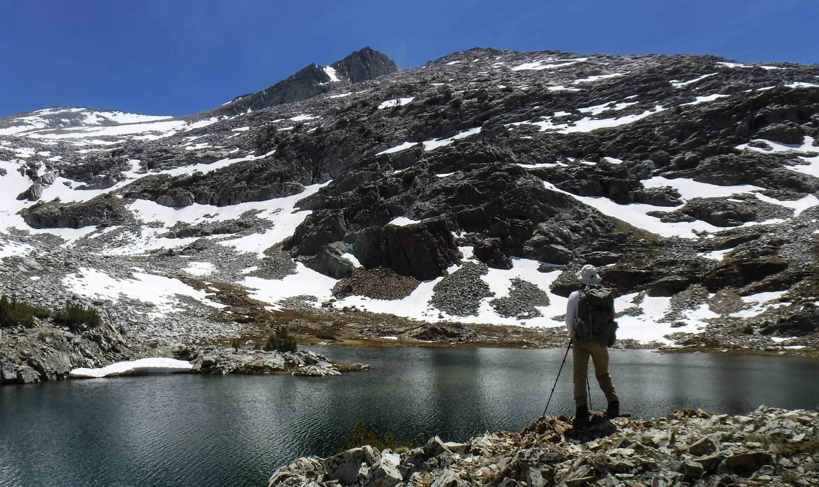 Look, Mom, We're Camping!: 2020