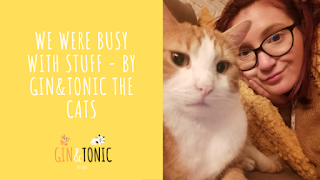 Tales with Gin and Tonic the cats