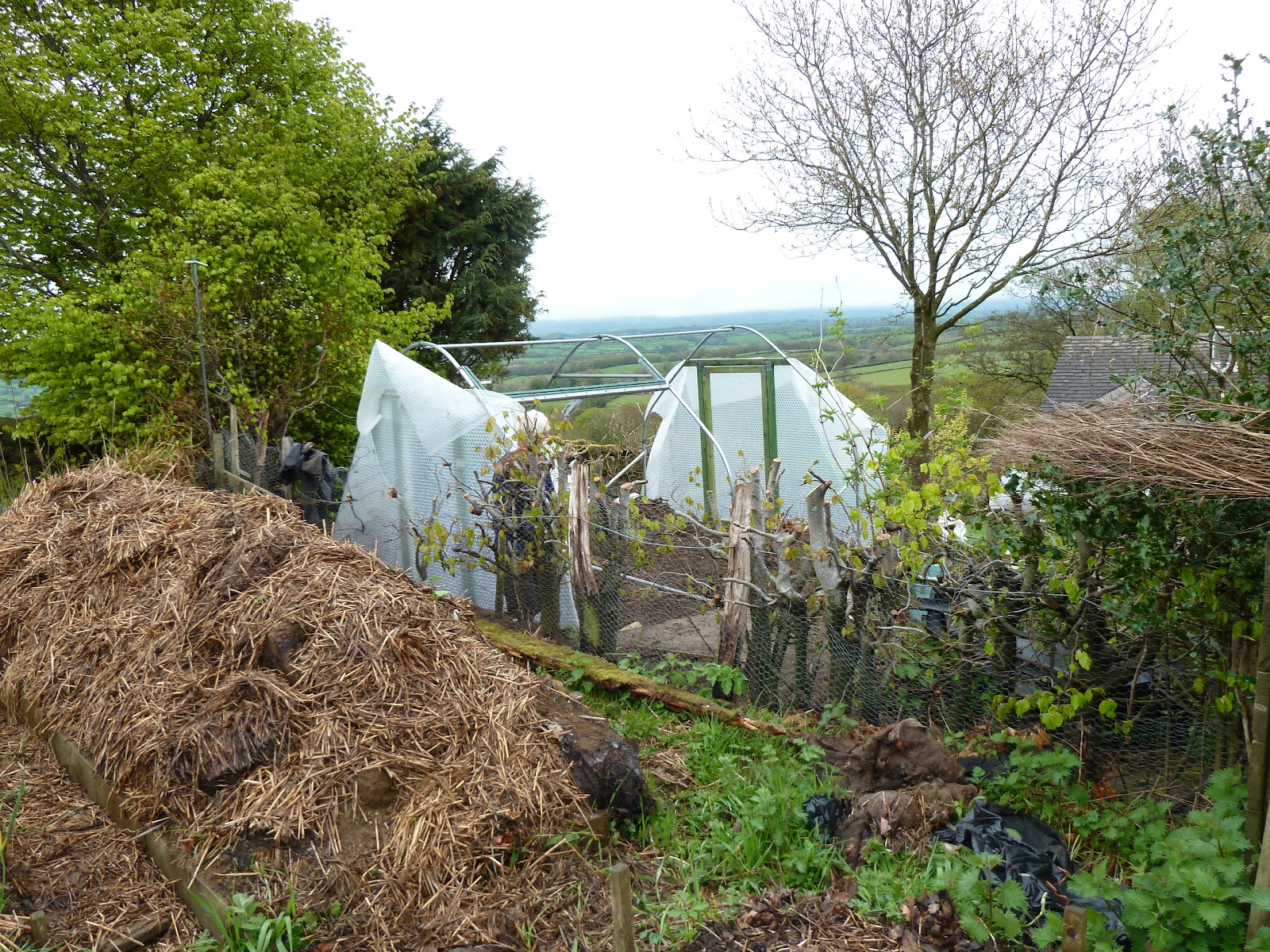 Backsbottom Farm: The Keder polytunnel