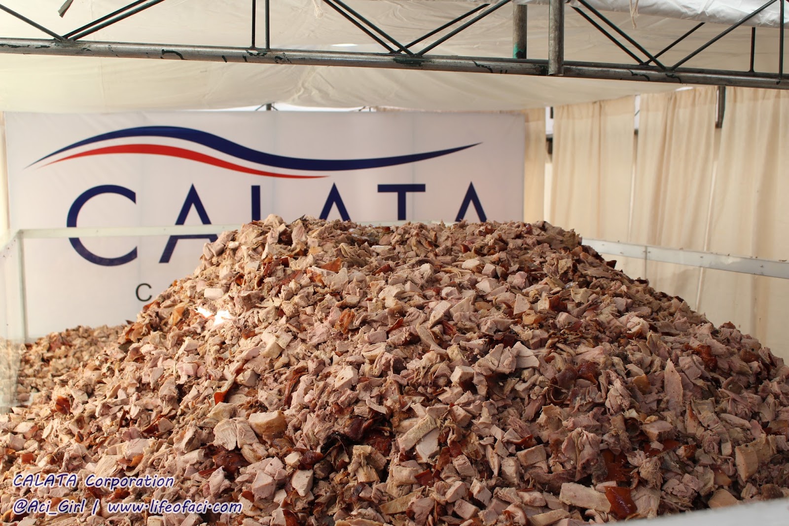 The "Lechon Party" by CALATA Corporation bags The Guinness World Record ...