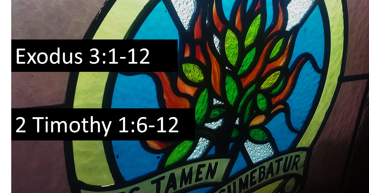 HOW IN THE WORLD!!: People of the Burning Bush ( Exodus 3:-12, 2 ...