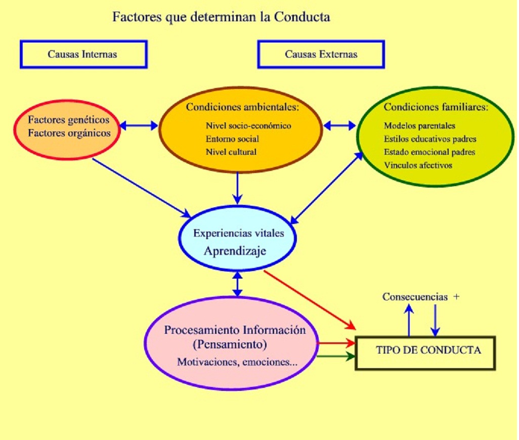 YO TE AYUDO: Conductas Disruptivas