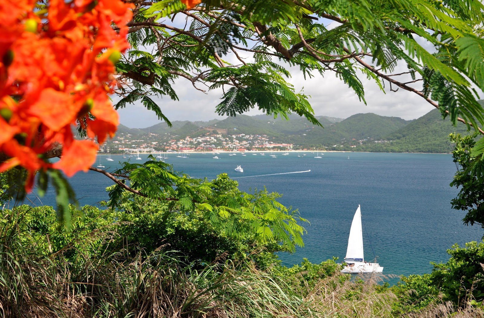Hiking à Rodney Bay | La Jeannoise