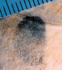 forensics blog: Fingerprint Analysis