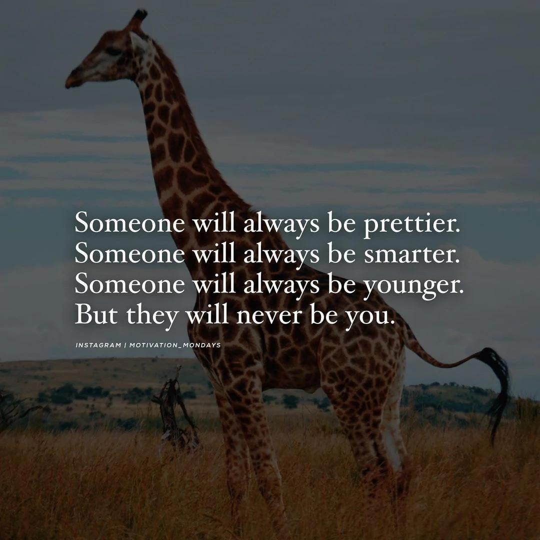 Monday quotes to help you get through the day | Melody Jacob