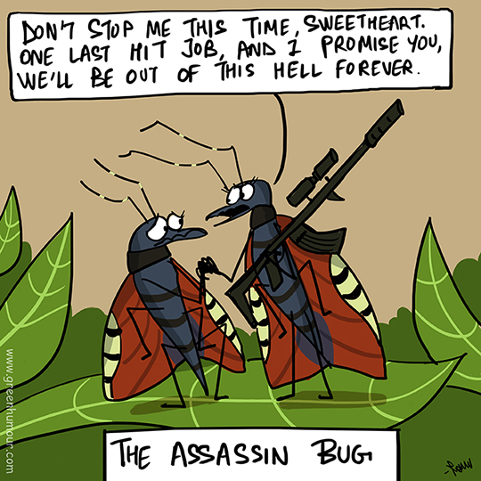 Green Humour: Assassin Bug