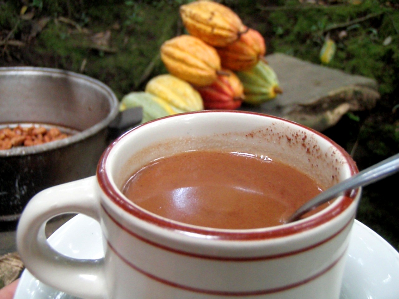 Nagcarlan Adventure Loop: Mt. Lansay - Sagilala Falls Hike