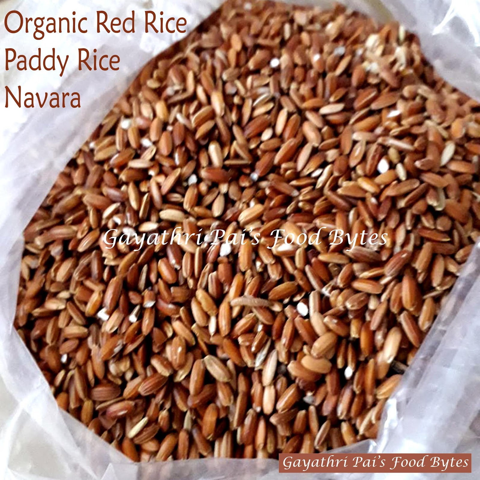 Gayathri Pai's Food Bytes: Organic Red Rice (Navara/ Paddy Rice) Pejja ...