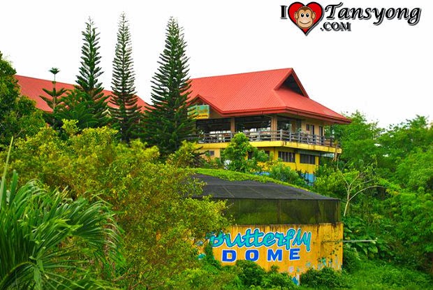 How to go to Sagbayan Peak in Province of Bohol? - I ♥ Tansyong™