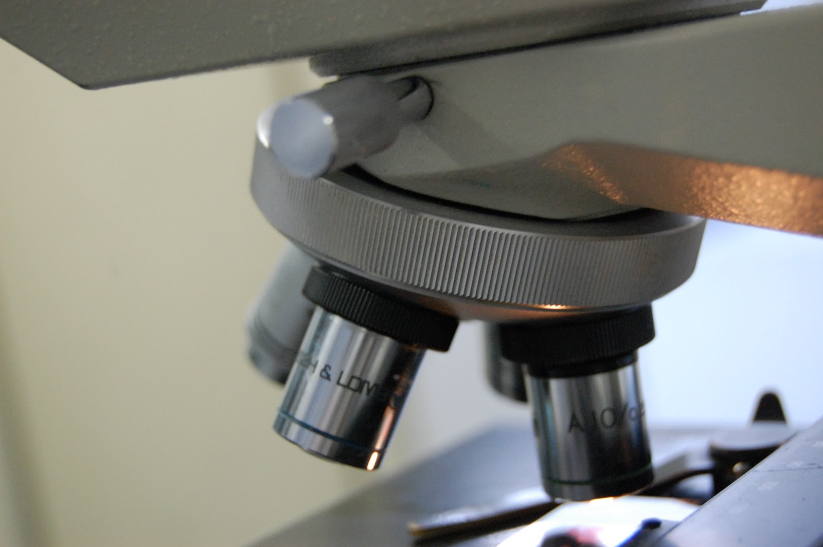 Grupo B de Microbiología de la FCQ: Actividad 05: Observación ...