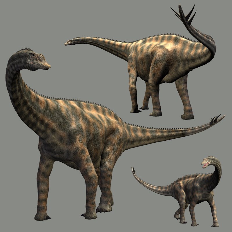 Dinosaurios y Vida Prehistórica: El Spinophorosaurus, un raro saurópodo ...