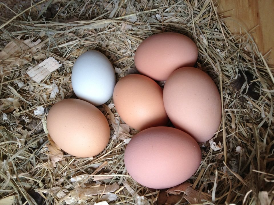 Striving Toward Sustainable