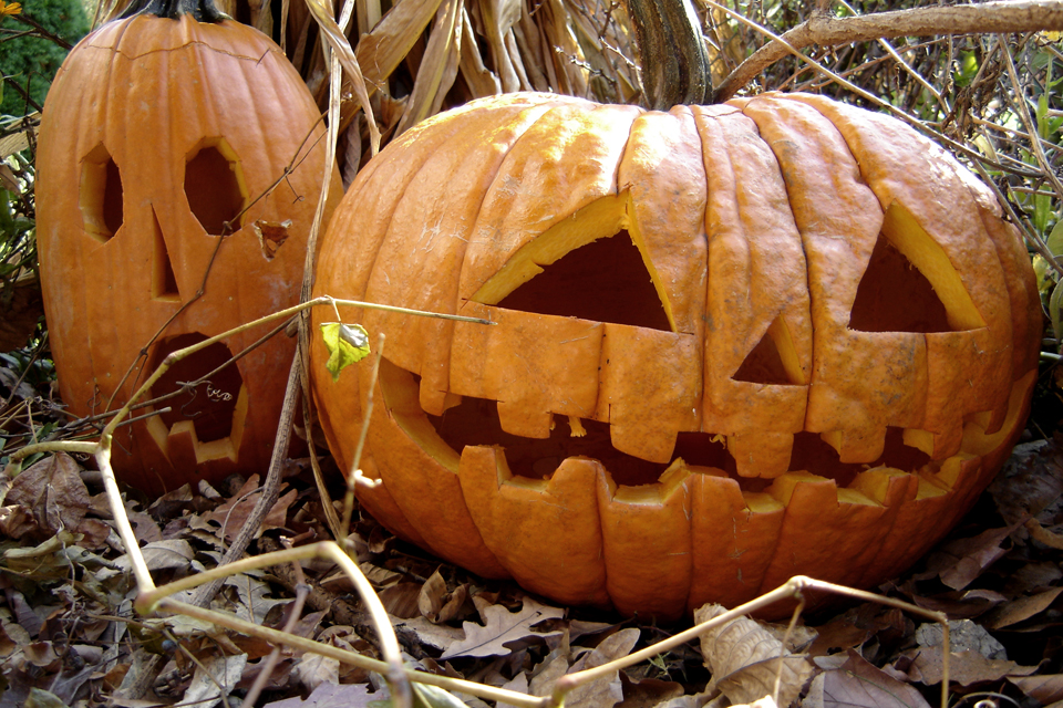 PUMPKINROT.COM: The Blog: Happy Halloween