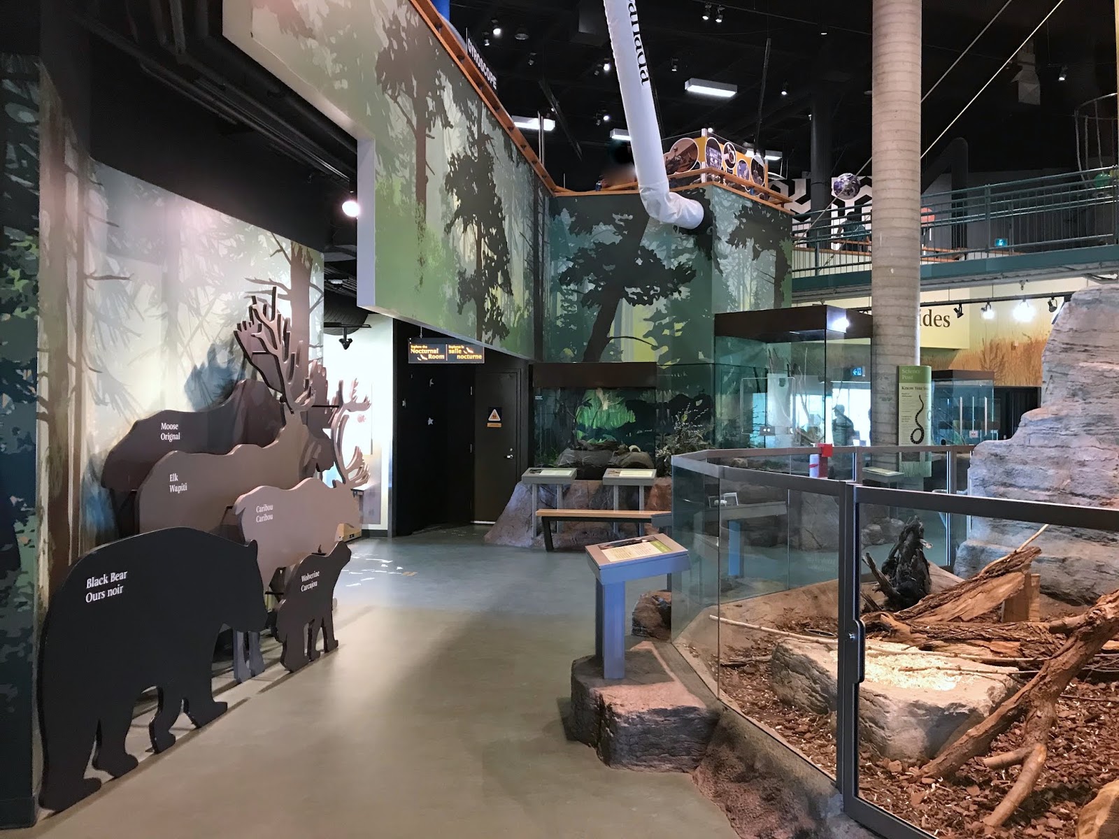 Create With Mom: Interactive Learning at Science North and Dynamic ...