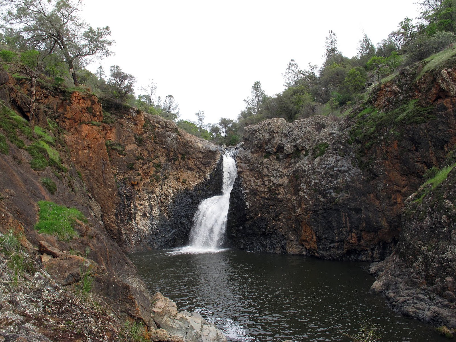 Yuba Trails and Tales: THE SPENCEVILLE WILDLIFE AREA: ROLLING HILLS ...