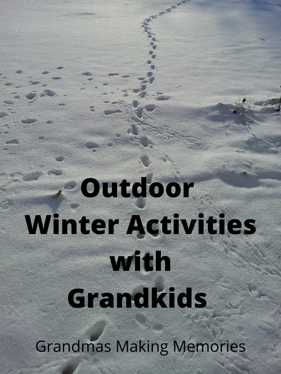 Grandmas Making Memories: Six Fun Winter Outdoor Activities to do with ...
