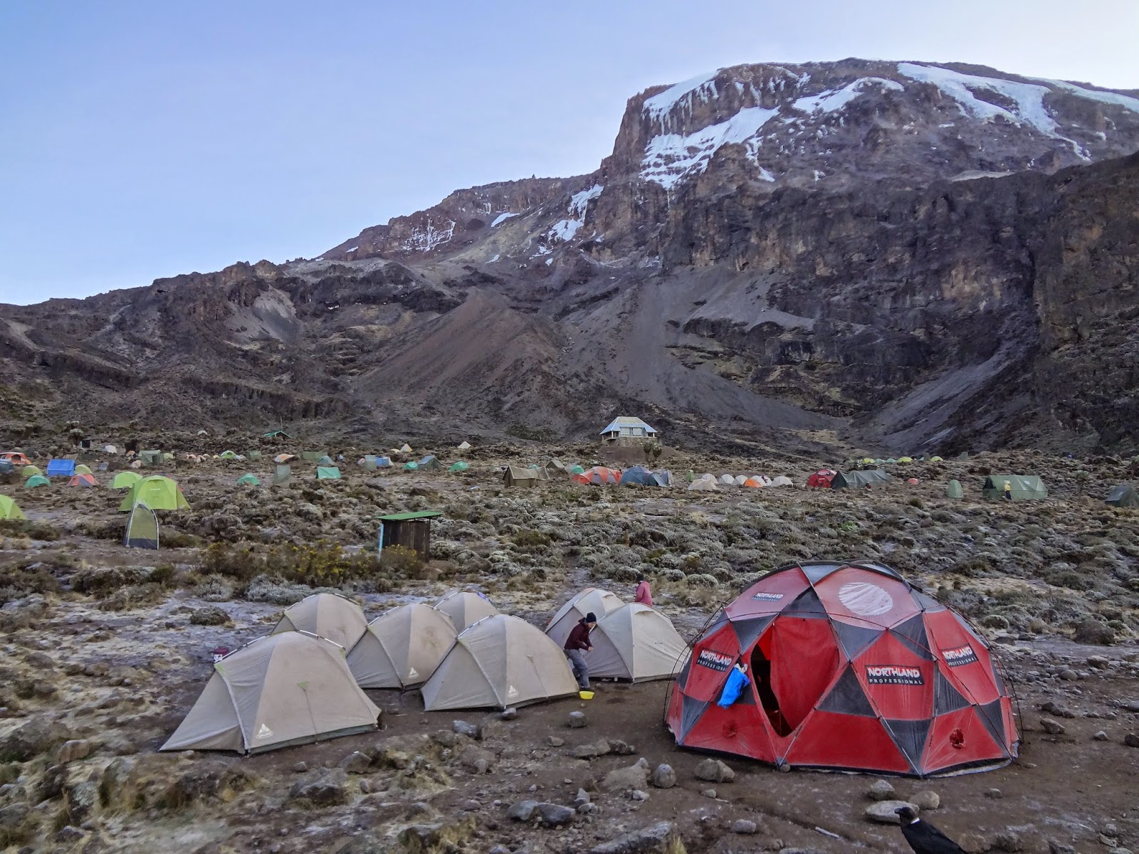 Treks and Travels: Climbing Kilimanjaro: Day 4 from the Barranco Wall ...