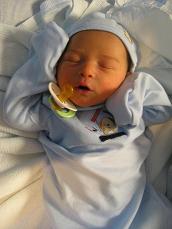 The Wiley Family: What's in a Name?