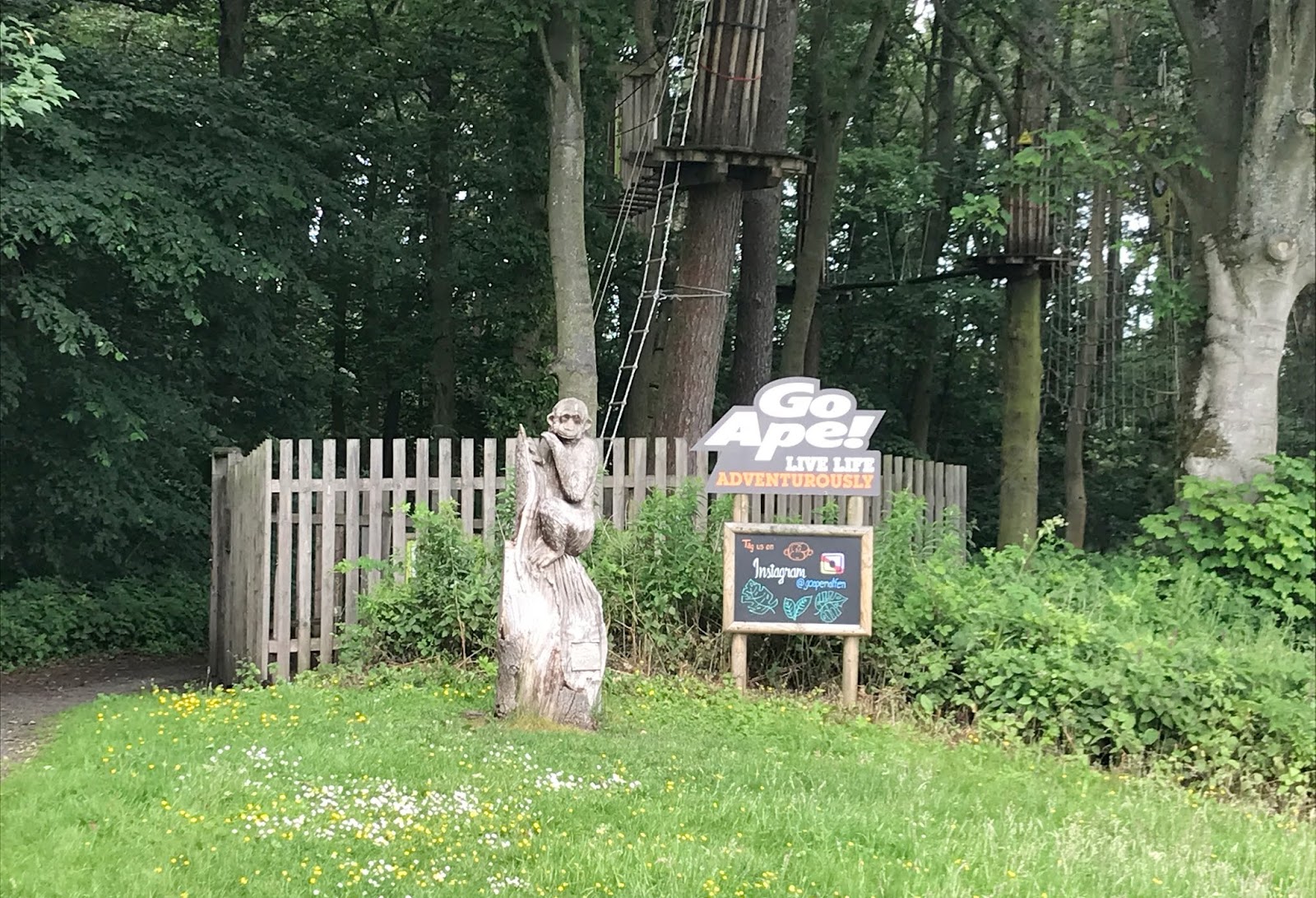 Go Ape Matfen Review | Newcastle Family Life