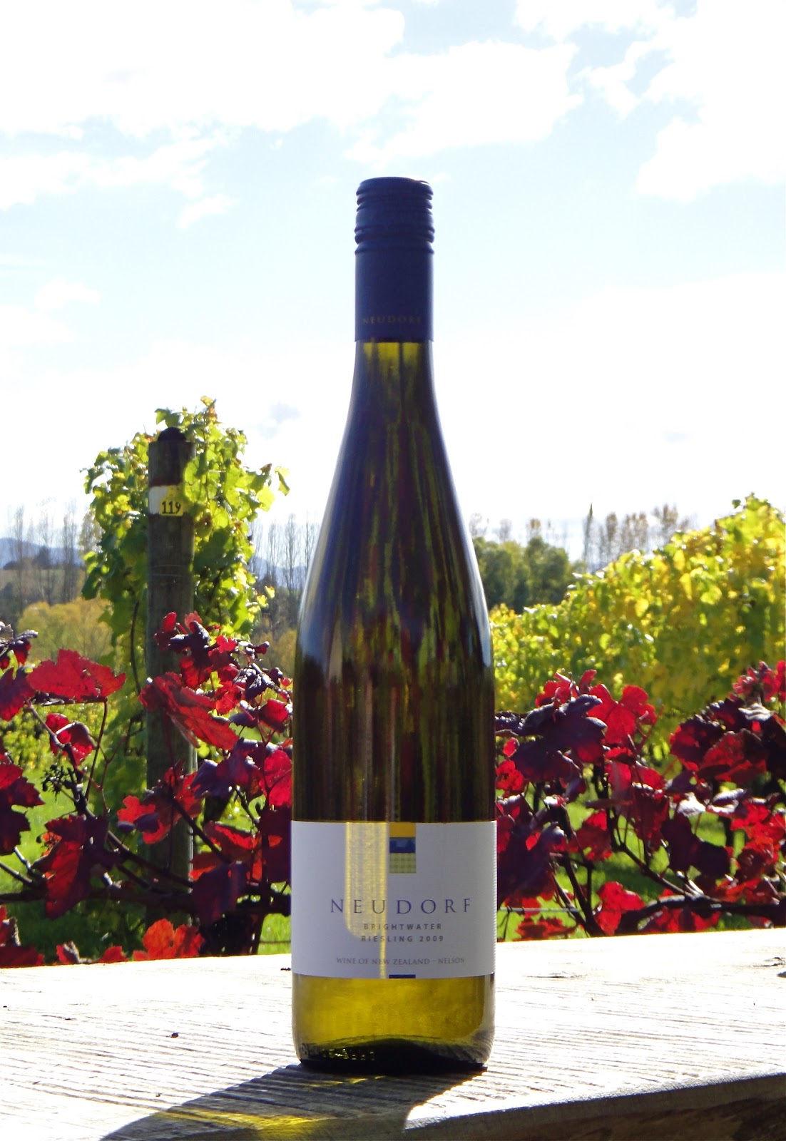 Kaitiaki Tanga: Sunny Nelson!