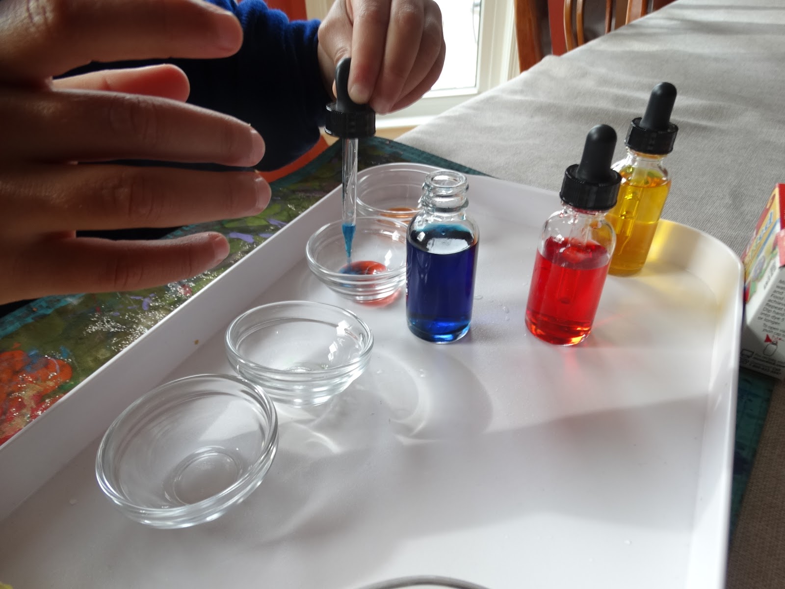 The Joys of Montessori Homeschooling: Color Changing Activity