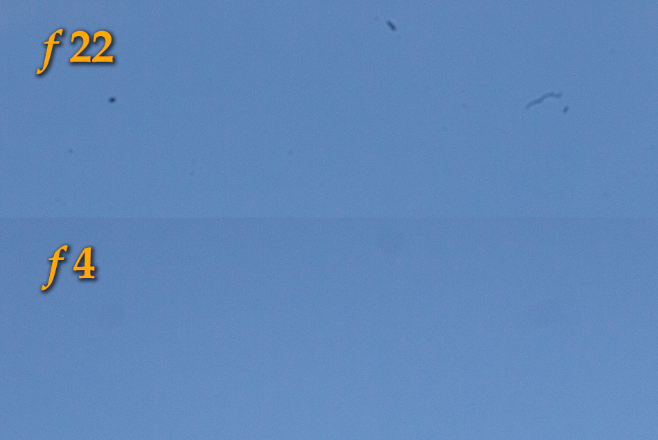 Getting it Right in the Digital Camera : Sensor Dust