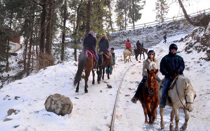 Best Adventure Activities in Shimla - The Best India Tours