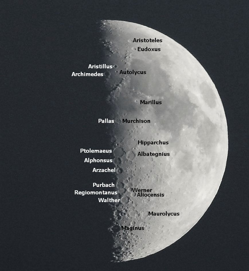 Birds of the Heath: First quarter Moon