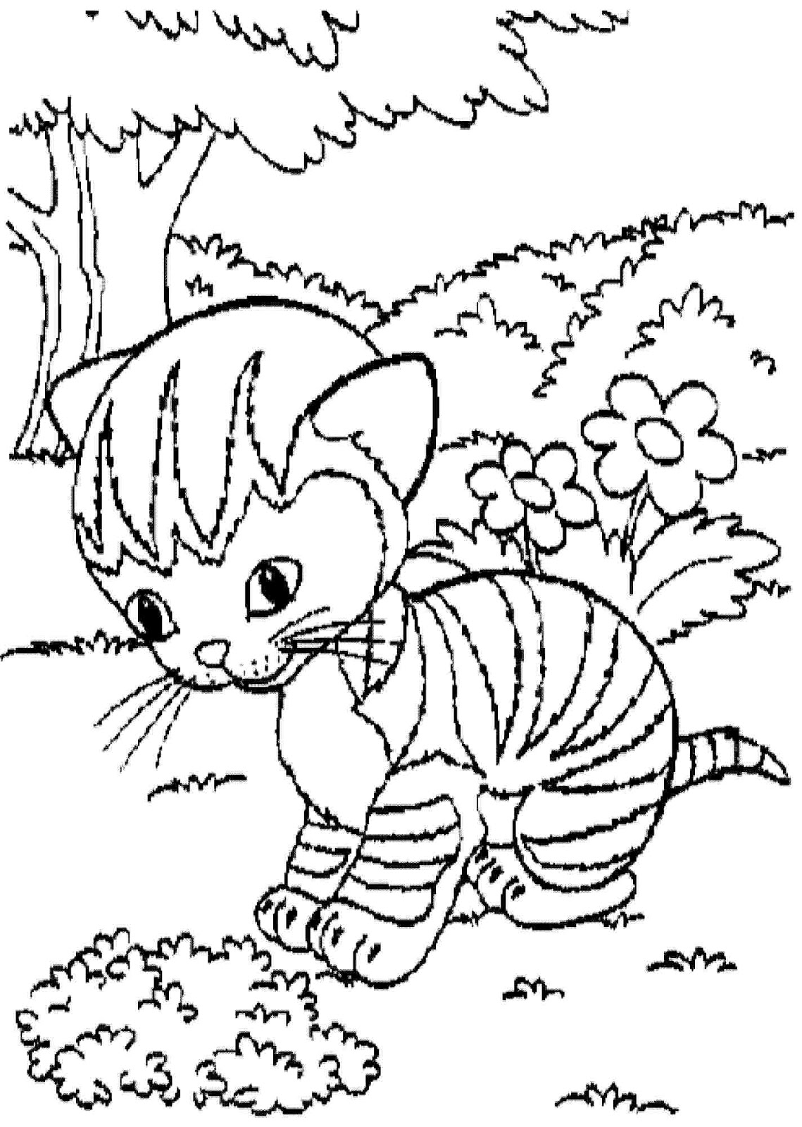 35 Tranh Tô Màu Con Mèo Đáng Yêu | Tranh Tô Màu Đẹp Cho Bé