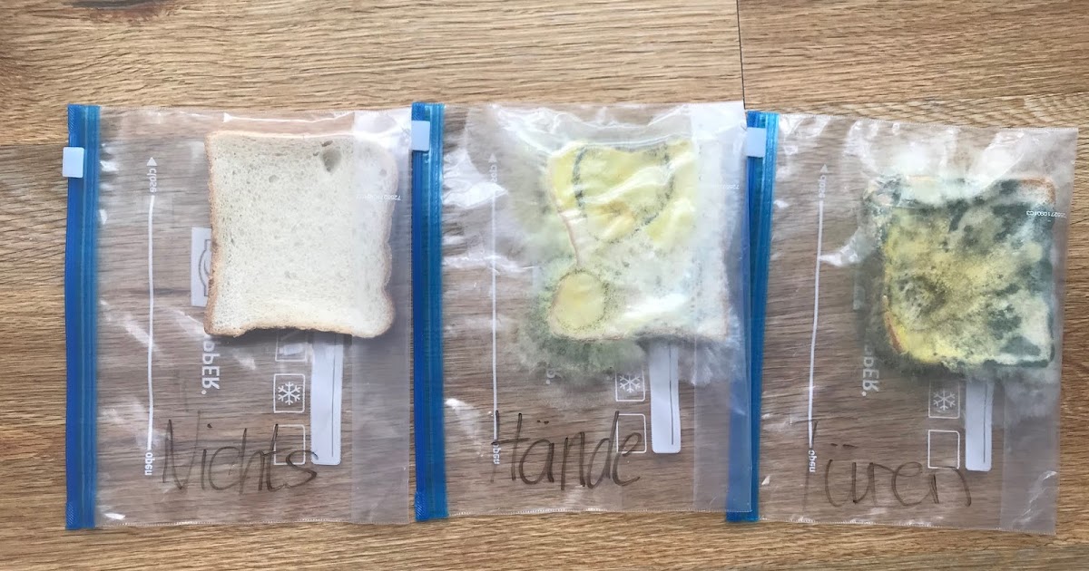 Unser Lernkörbchen: Toast Experiment
