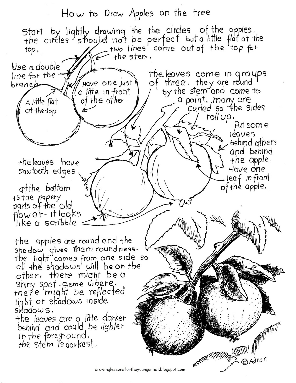 How to Draw Worksheets for The Young Artist: How to Draw Apples on the ...