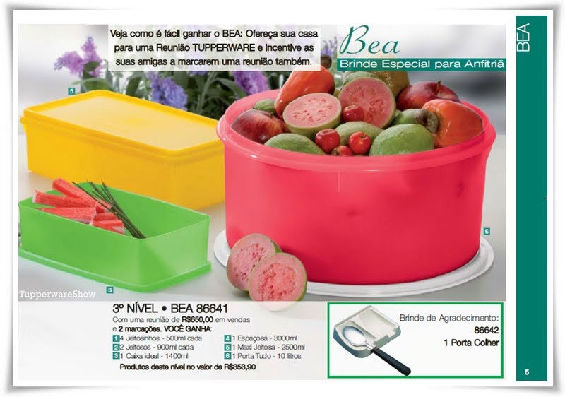 LUCIANA REVENDEDORA TUPPERWARE,AVON