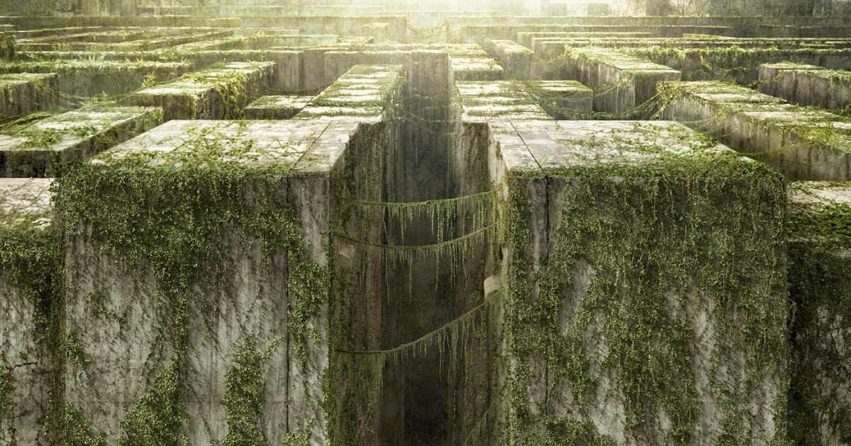 Une vie de livres: The Maze Runner (Le Labyrinthe)
