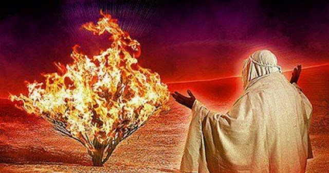 The Caleb Spirit: Moses had to encounter the Fire of God Before ...