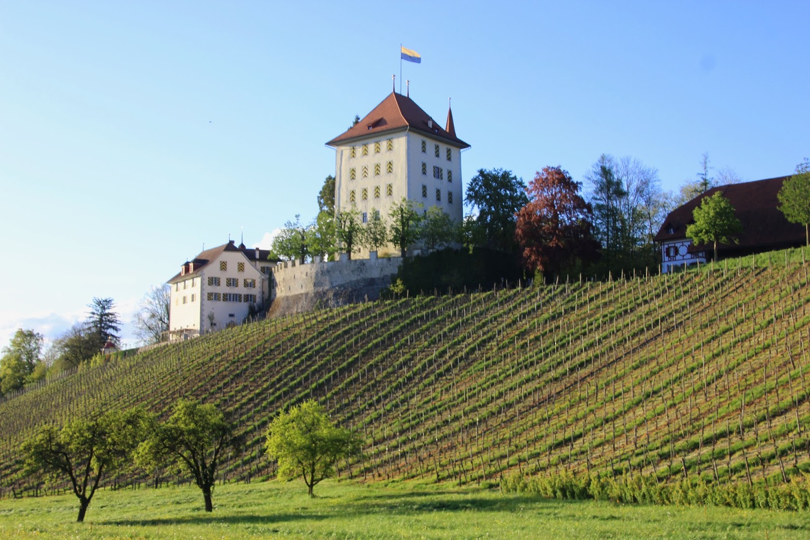 Unser Fototreff: Landschaft Seetal