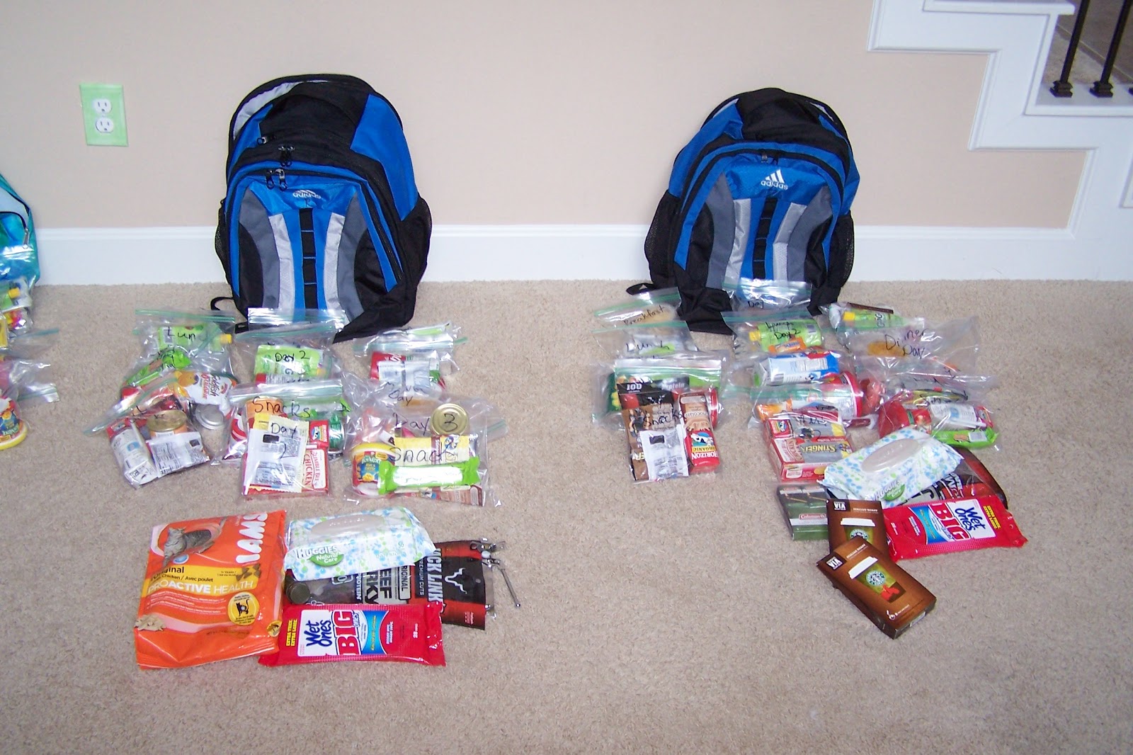 The Princess and the Tot: 72 Hour Emergency Kits