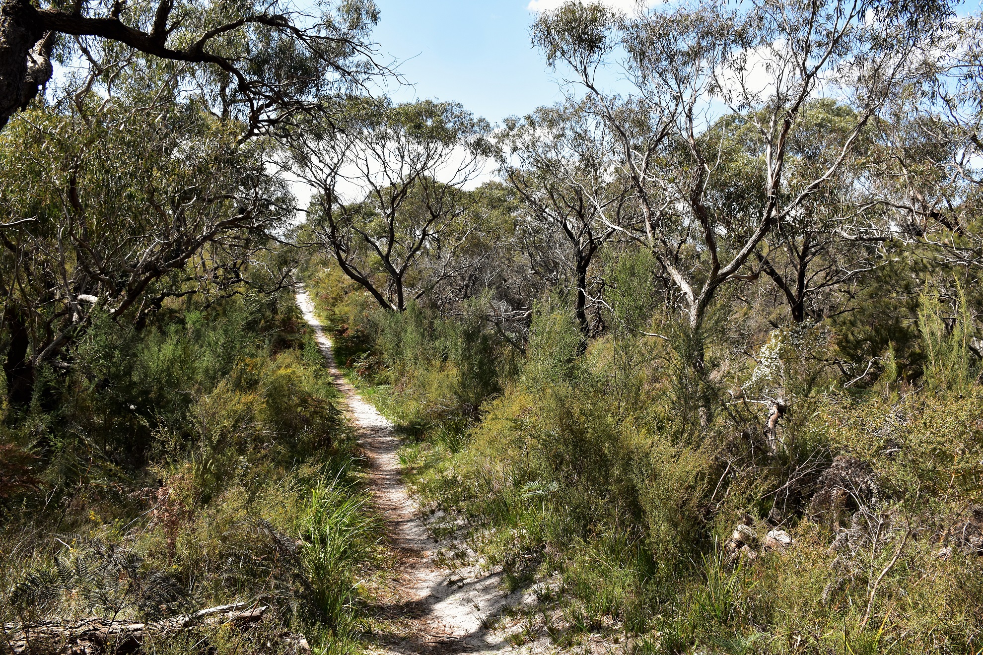 Goin' Feral One Day At A Time: Langwarrin Flora & Fauna Reserve ...